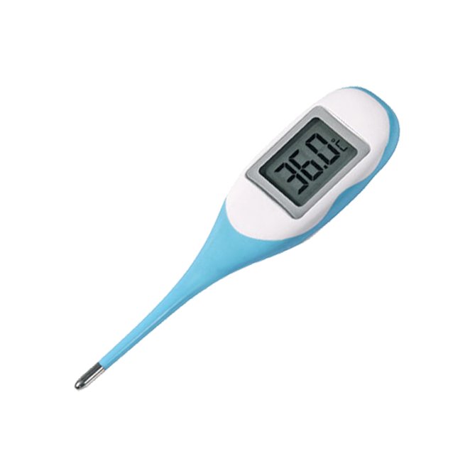 Large Display Digital Thermometer